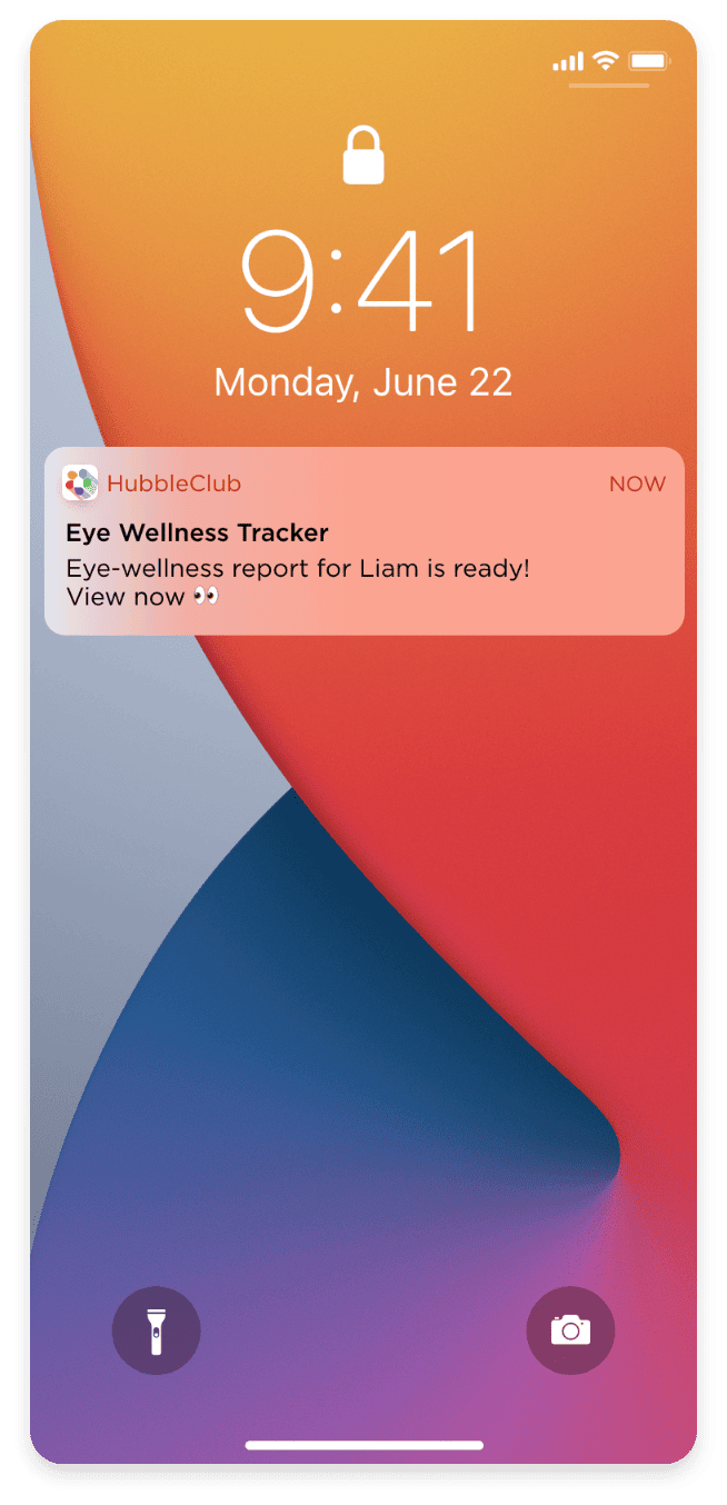 Hubble AI Features - Hubble Connected Support